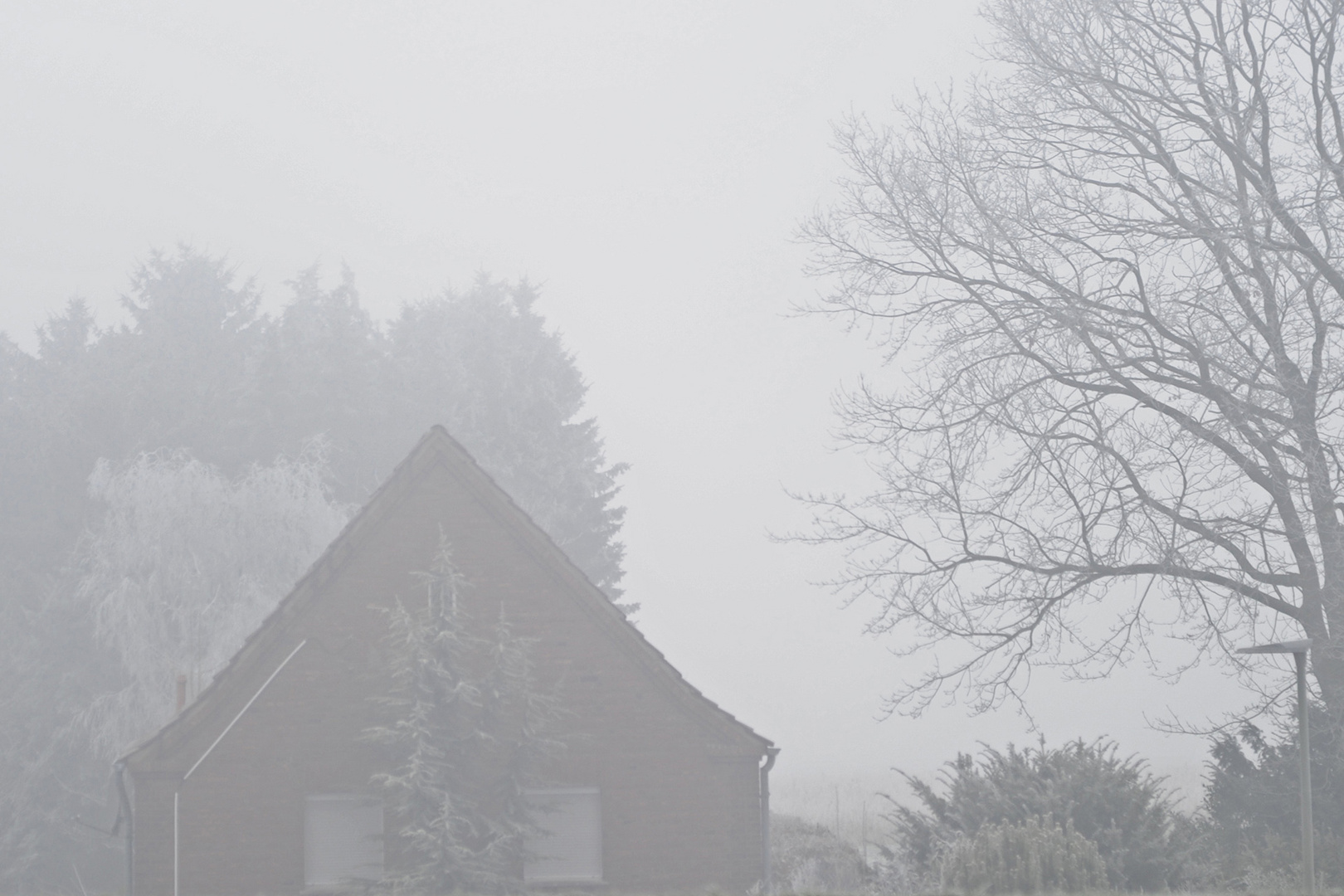 Das Haus im Nebel Foto & Bild | bäume, winter, natur Bilder auf ...