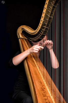 Musikinstrumente Bilder & Fotos