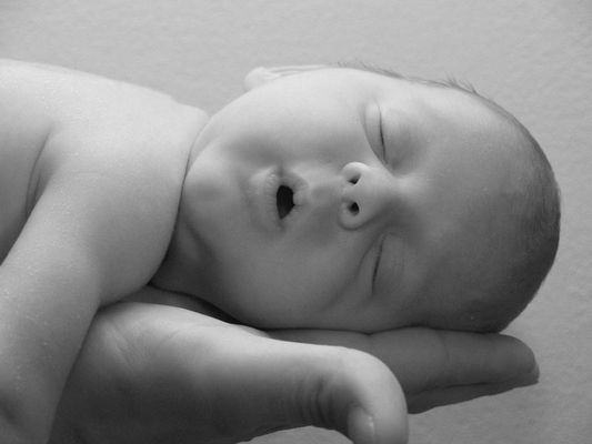 Roland Zell - Fotos & Bilder - Fotograf aus Pfullendorf, Deutschland ...