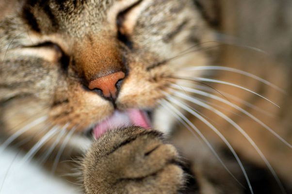 Raphaela Steffen - Fotos & Bilder - Fotografin | fotocommunity