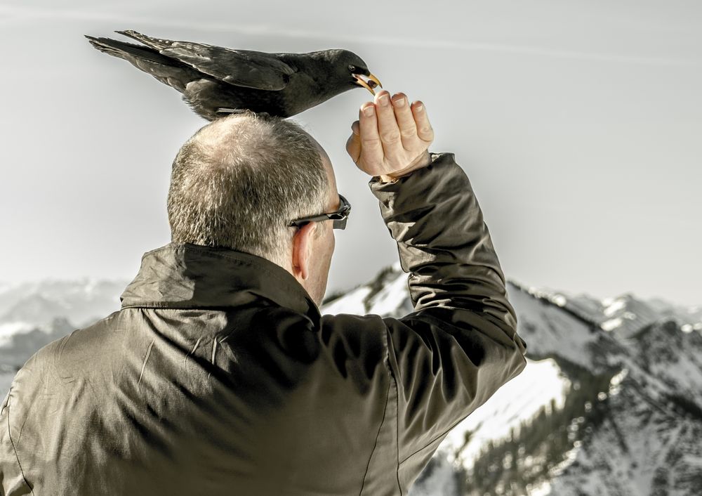 Das Jahr 2020 beginnt....der Ausblick Foto & Bild | erwachsene menschen, tiere, streetfotografie ...