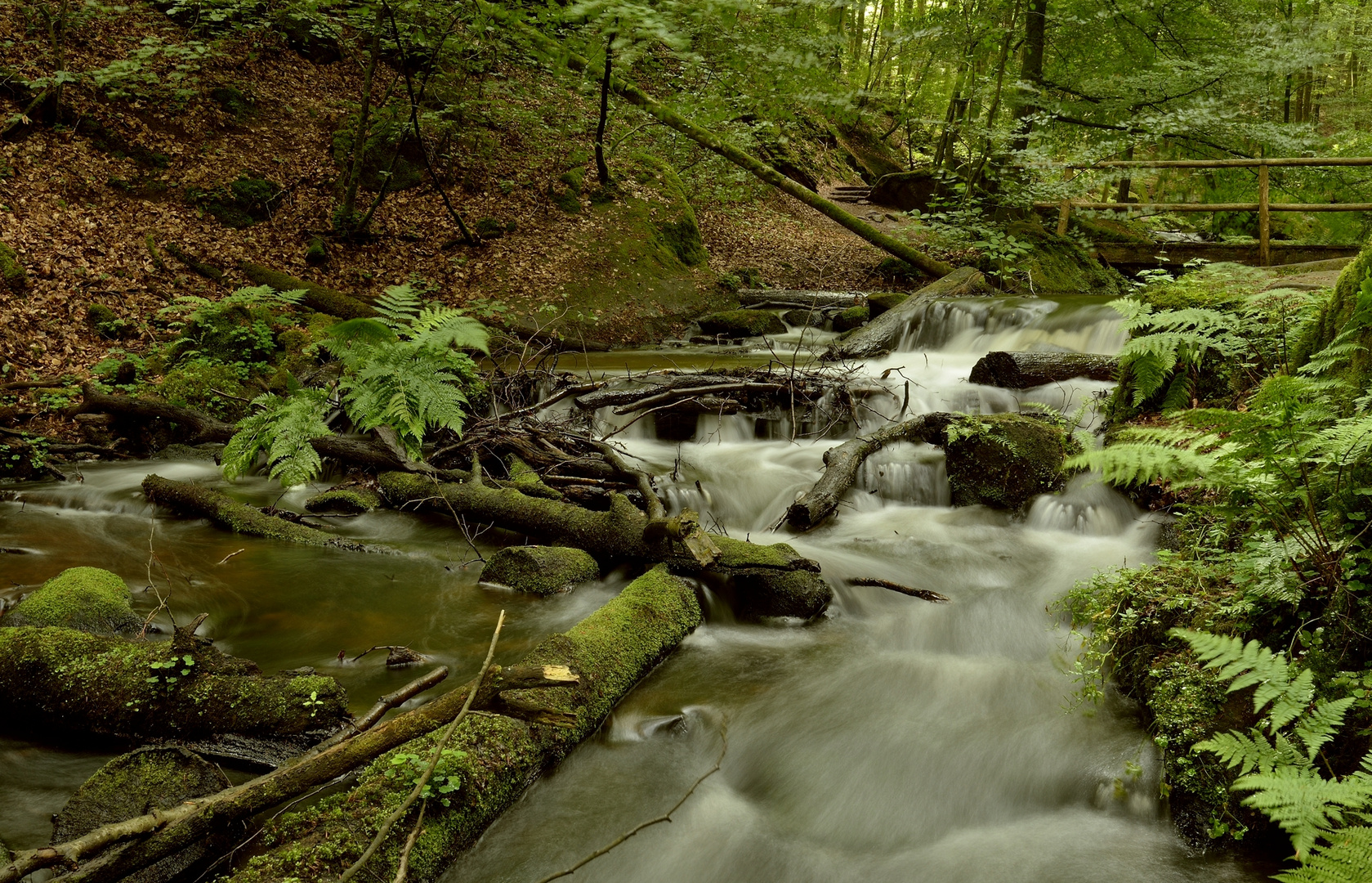 Das Karlstal ist eines der schönsten Wanderziele im Pfälzerwald ...