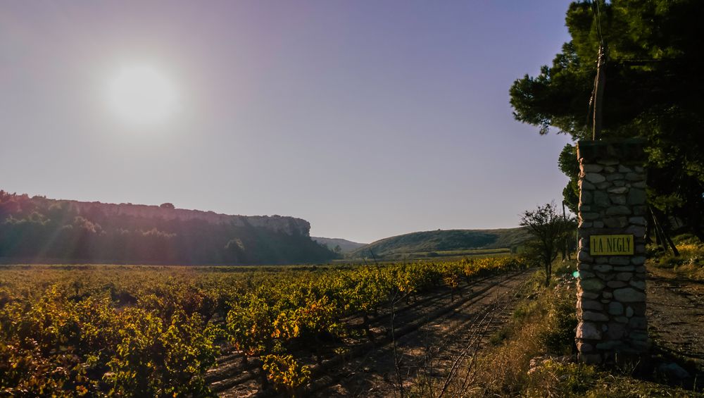 Das La Clape Foto & Bild | art, france, nature Bilder auf fotocommunity