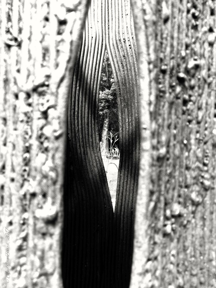 das leben dahinter sehen Foto & Bild | stillleben, motive Bilder auf ...