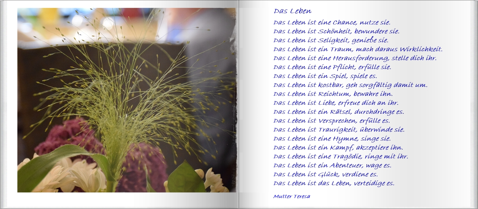 Das Leben ist eine Chance, nutze sie. Foto & Bild | gratulation und ... Das Leben ist eine Chance, nutze sie. Foto & Bild | gratulation und ...
