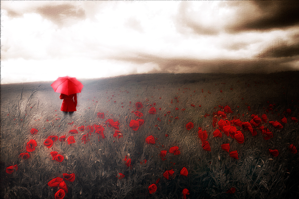 Das Leben ist schön Foto & Bild | fotomontage, bearbeitungs - techniken, filtertechniken Bilder ...