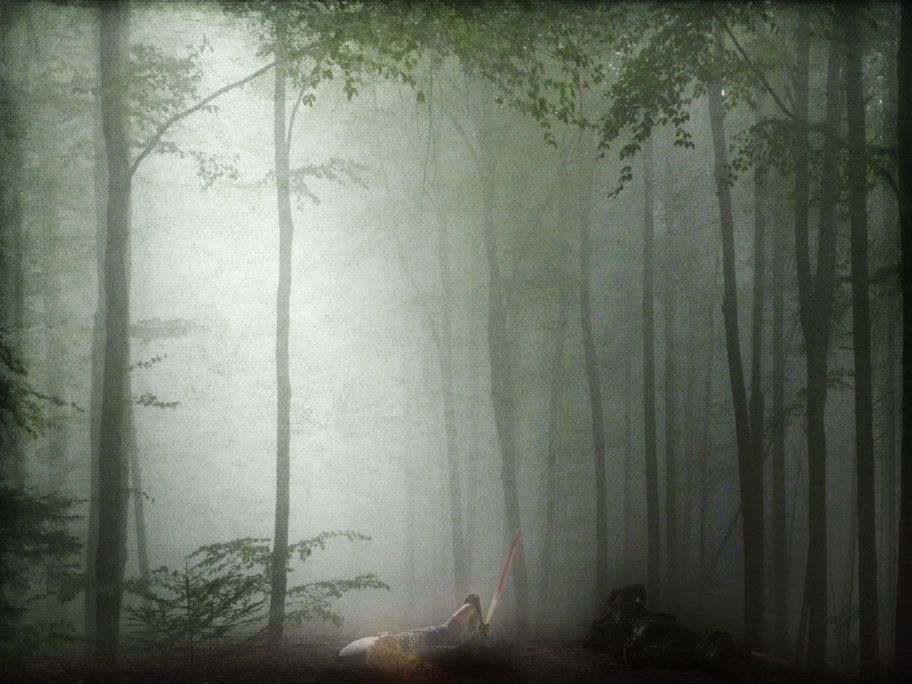 das letzte gefecht Foto & Bild | fotomontage, fantasy mystery, anderswelt Bilder auf fotocommunity