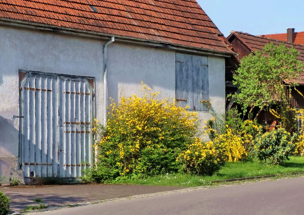 das letzte Scheunentor Foto & Bild | jahreszeiten, frühling, natur ...