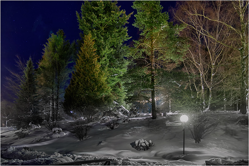 Das Licht in der Winternacht zeigt sehr schön die weiße Pracht Foto ...