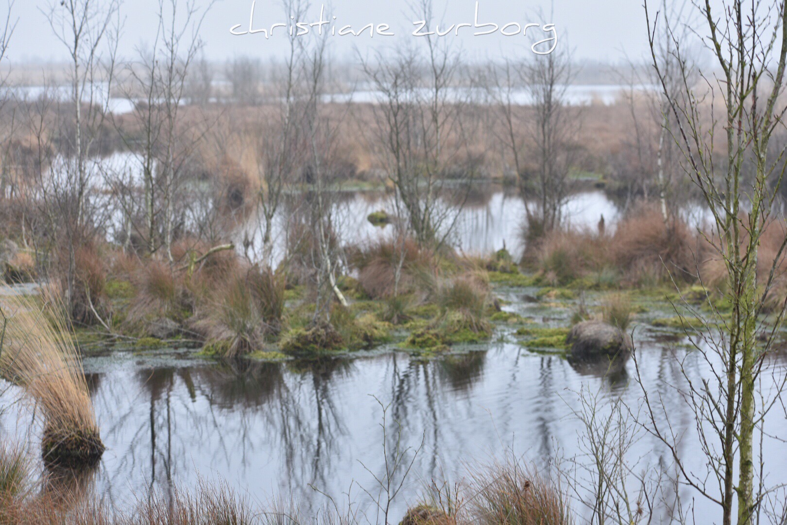 das moor Foto & Bild | landschaft, lebensräume, moor Bilder auf ...