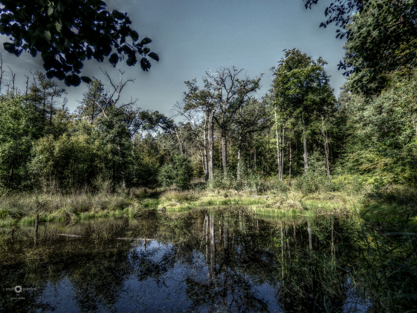Das Moor am Luther-Weg Foto & Bild | landschaft, heide, fotos Bilder ...