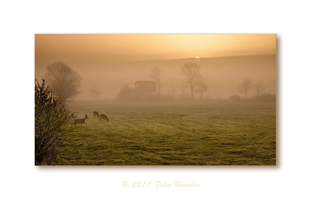Das Moor erwacht (3) Foto & Bild | landschaft, moor, recker moor Bilder ...