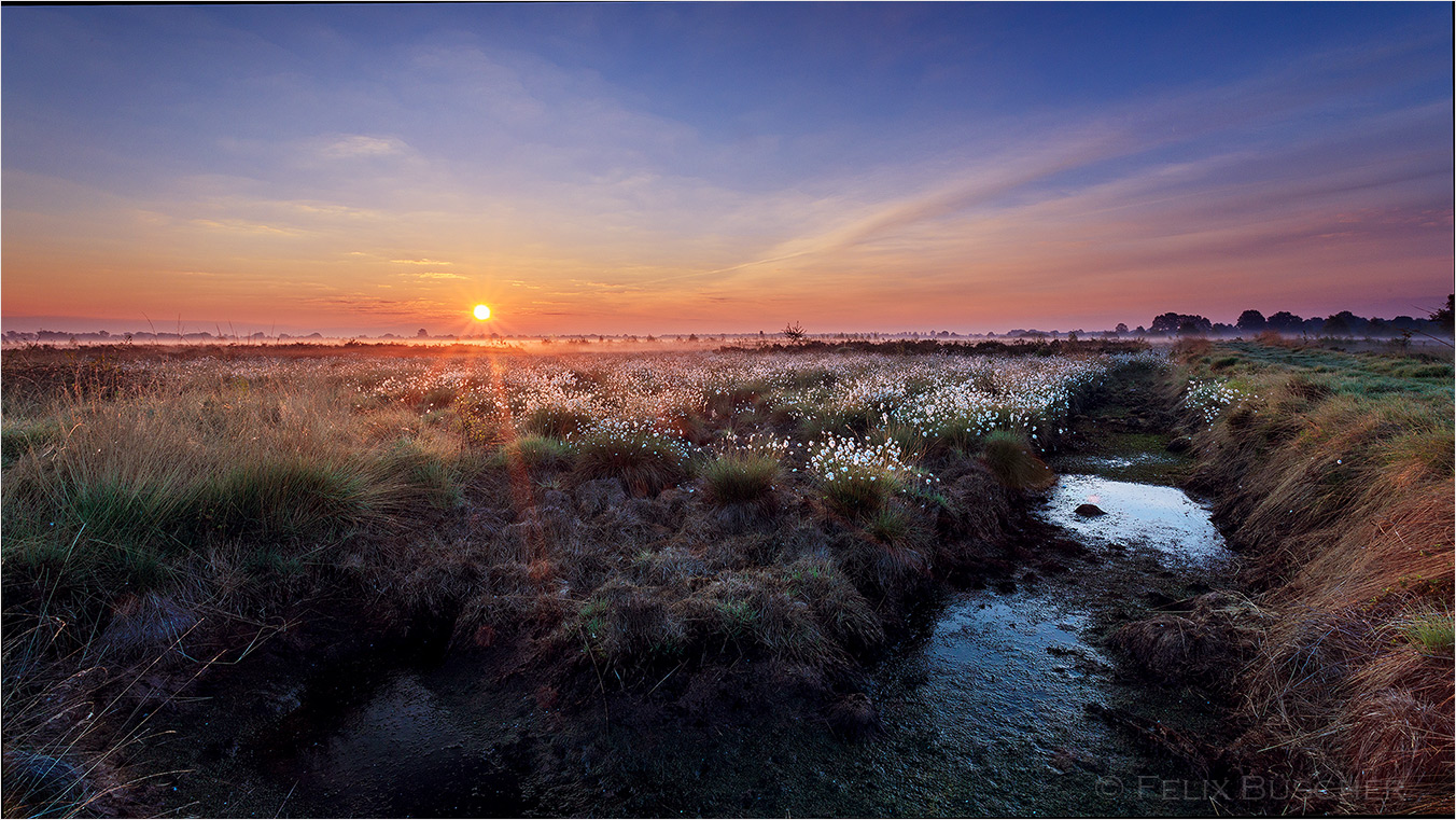 Das Moor erwacht Foto & Bild | landschaft, moor, recker moor Bilder auf ...