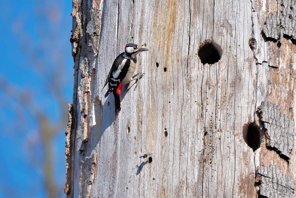 Das Nachsehen Foto & Bild | outdoor, frühling, natur Bilder auf ...