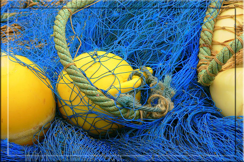 Das Netz Foto & Bild | stillleben, zufällige arrangements, seile und ...