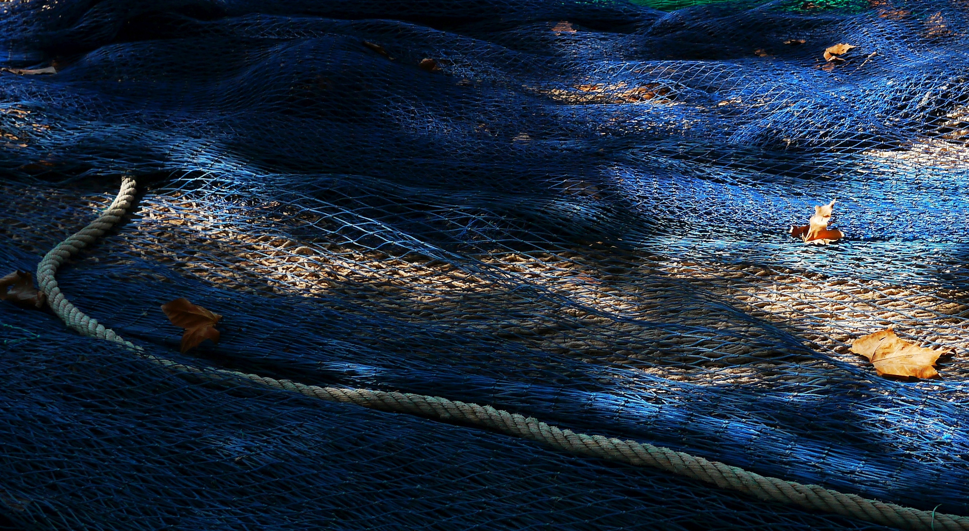 das Netz Foto & Bild | stillleben, fotokunst, Ästhetik der sichtbarkeit ...