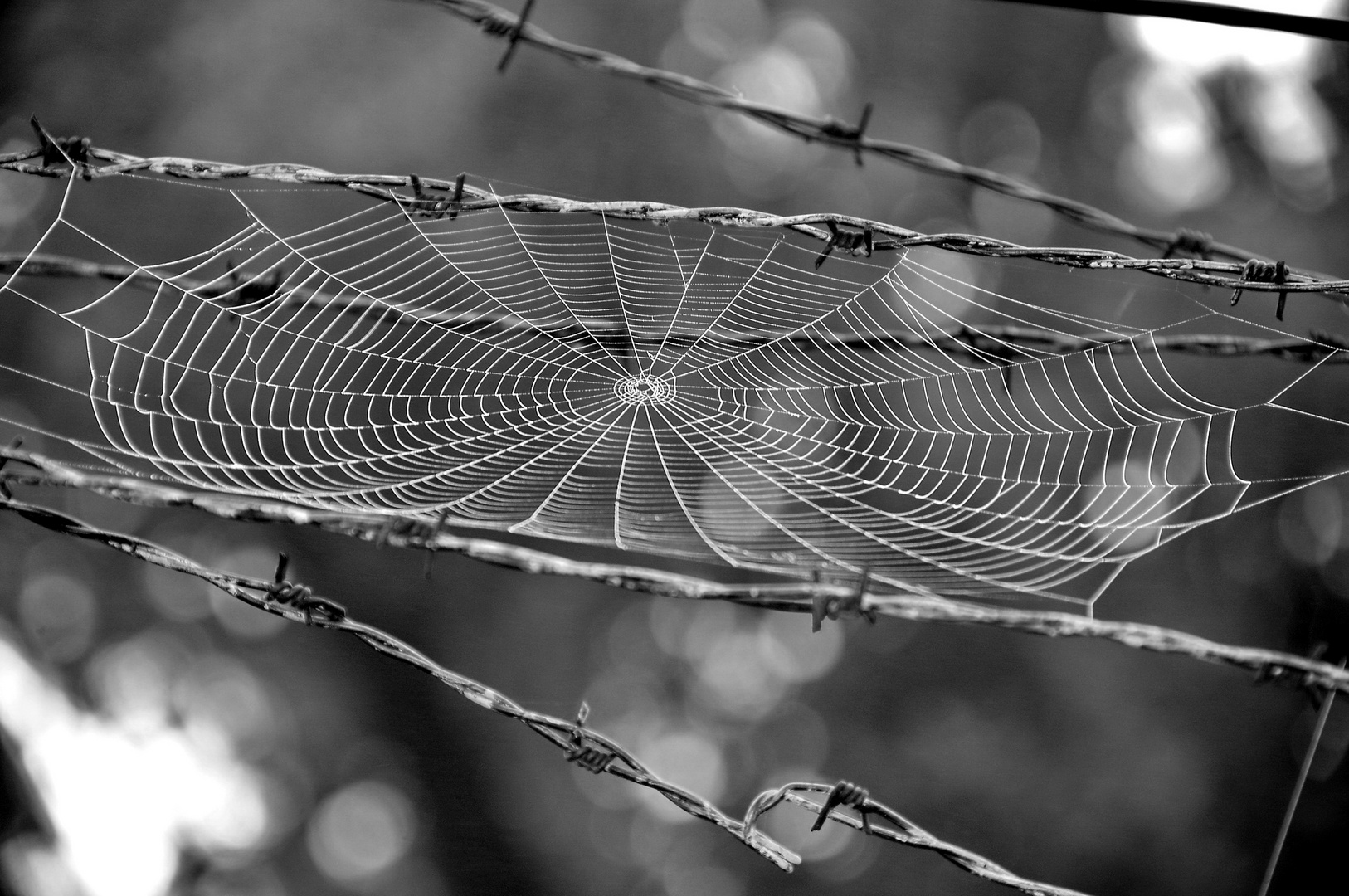 Das Netz Foto & Bild | reportage dokumentation, zeit geschichte ...