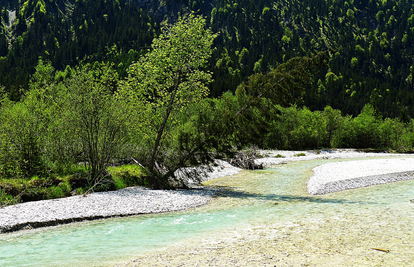 Das obere Isartal im Mai Foto & Bild | deutschland, europe, bayern ...