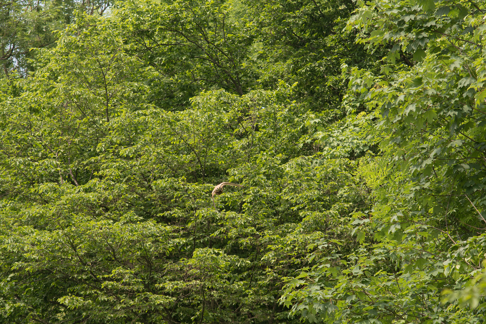 Das Original Foto & Bild | park, münchen, outdoor Bilder auf fotocommunity