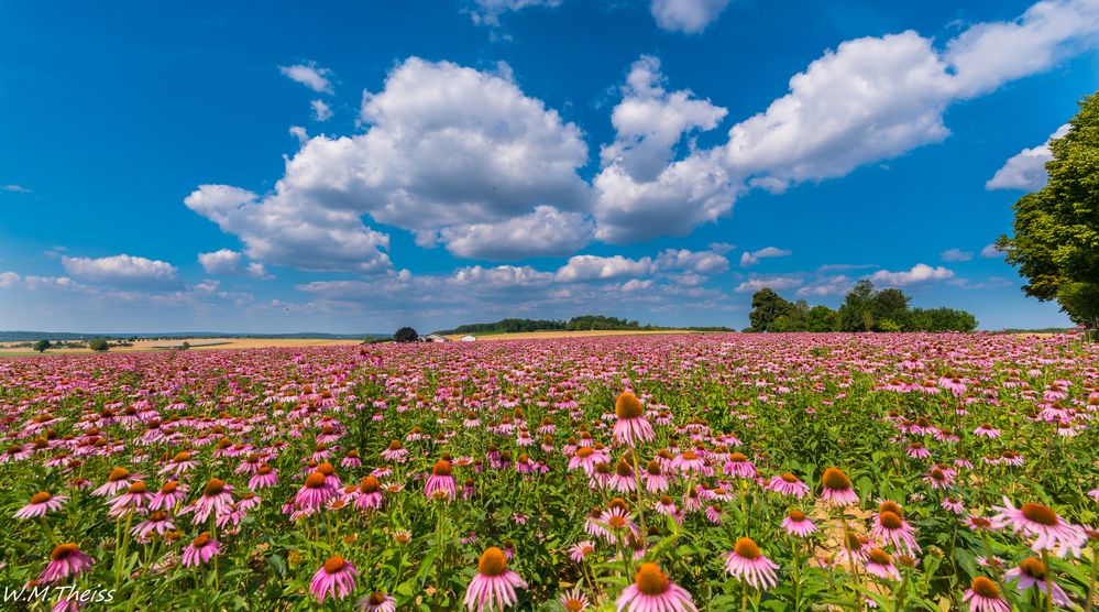 Das Paradies Foto & Bild | fotos, spezial, outdoor Bilder auf fotocommunity