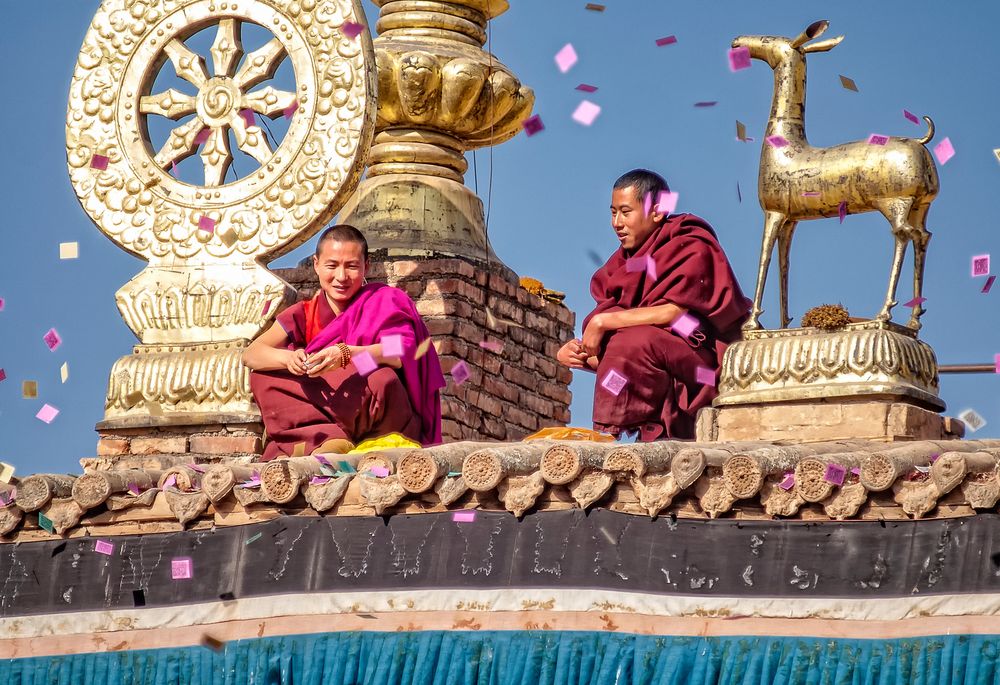 das Rad der Lehre mit Gazelle Foto & Bild | erwachsene, asia, tibet ...