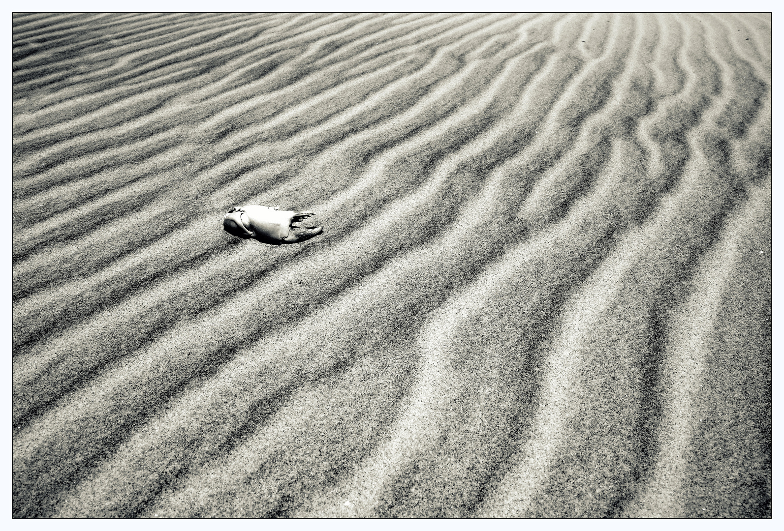 Das Relikt Foto & Bild | world, meer, natur Bilder auf fotocommunity