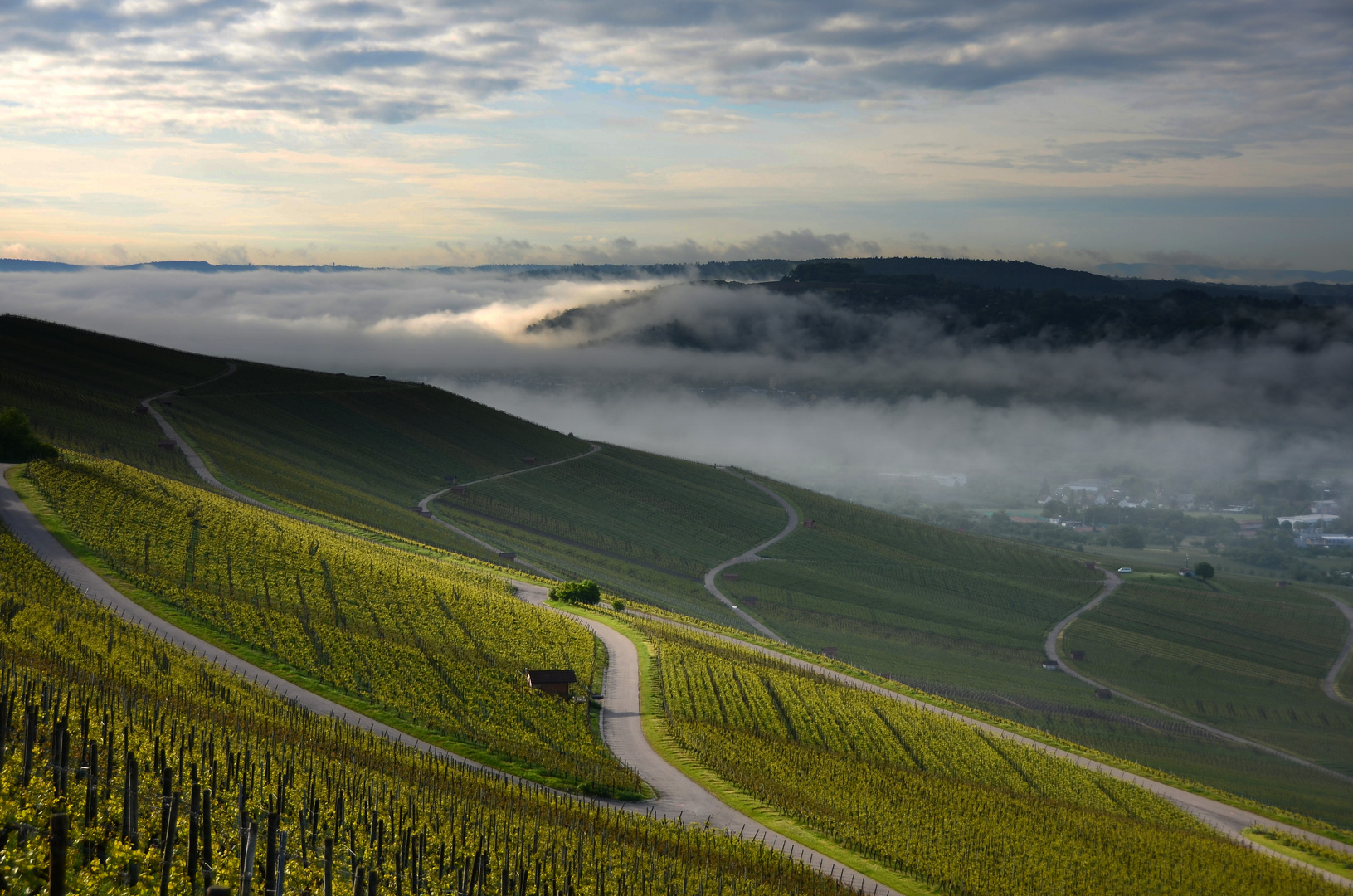 Das Remstal Foto & Bild | landschaft, kulturlandschaften, weinberge ...