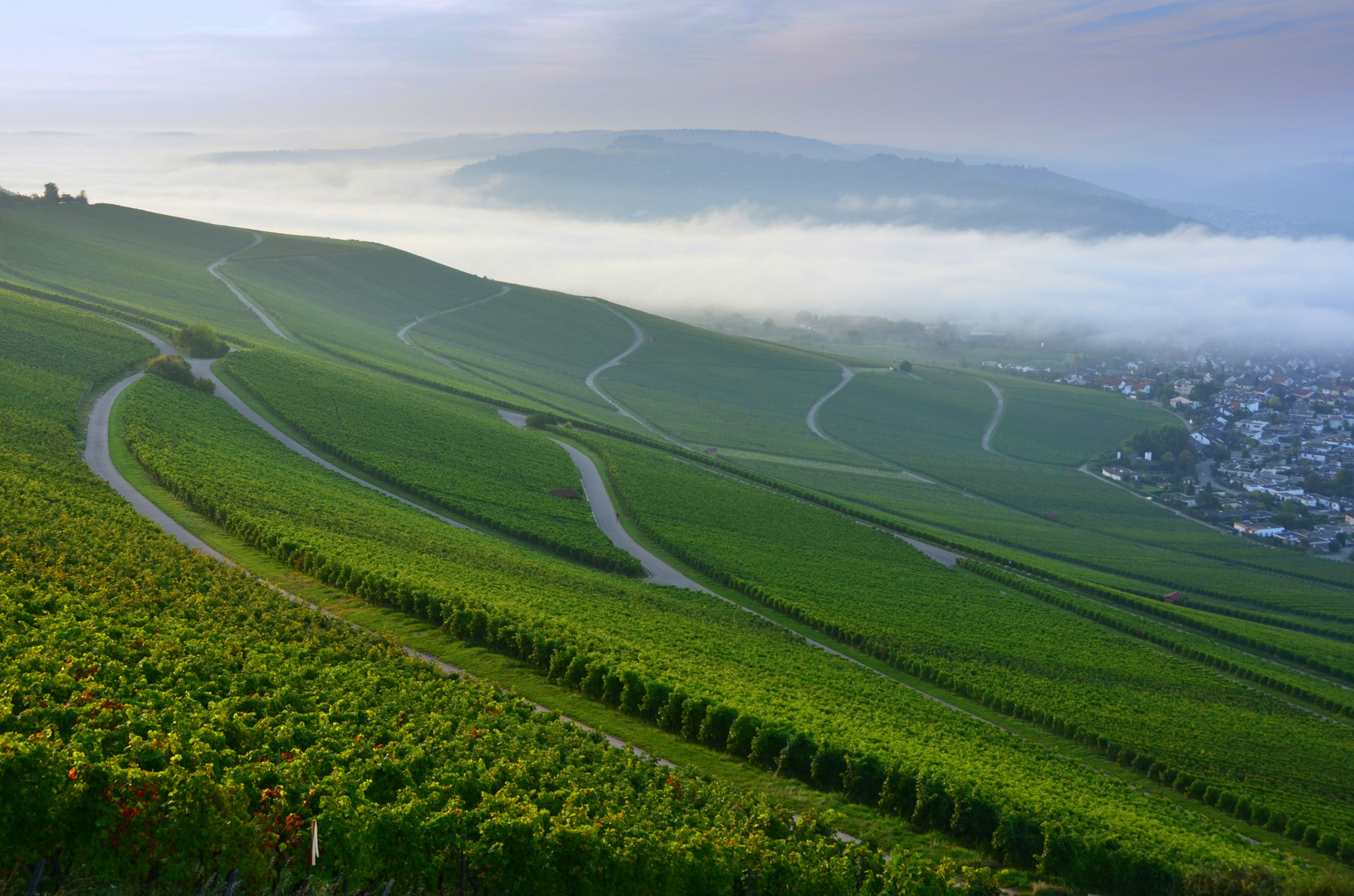 Das Remstal Foto & Bild | landschaft, kulturlandschaften, weinberge ...