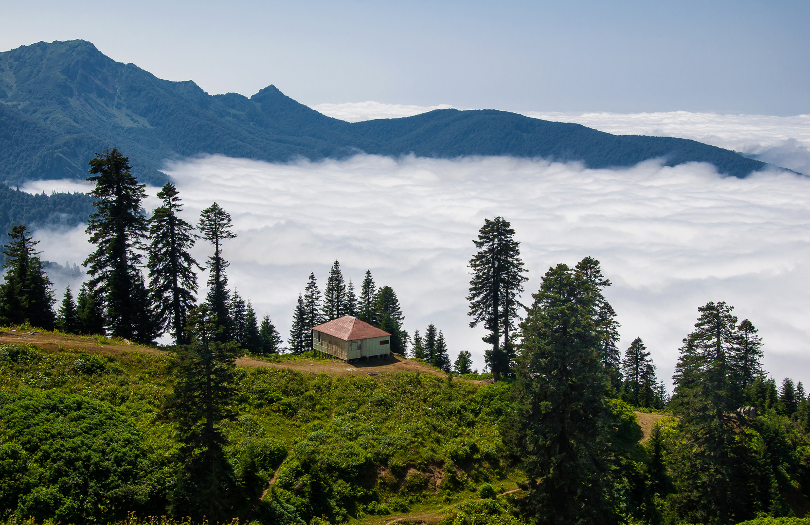 Das Resort GomisMta Das ist Georgia. Foto & Bild | sport, fotos, world ...