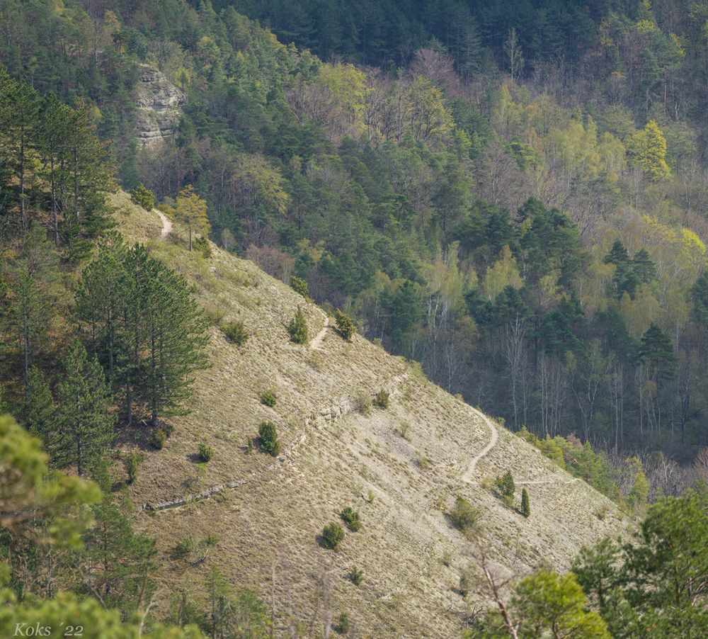 Das Revier Foto & Bild | frühling, natur, landschaft Bilder auf ...
