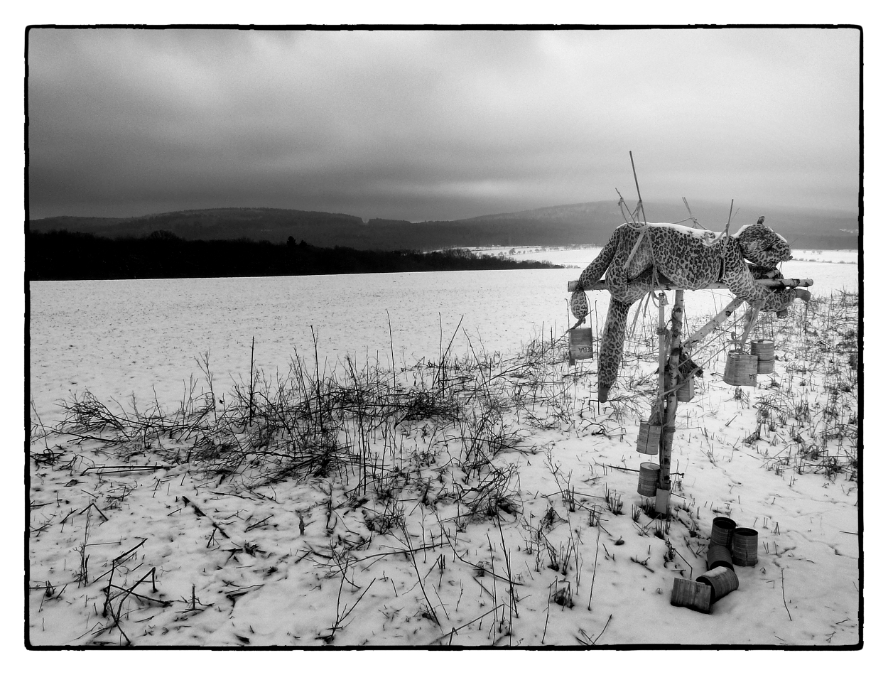 das Revier Foto & Bild | fotokunst, monochrome fine art, stills Bilder ...