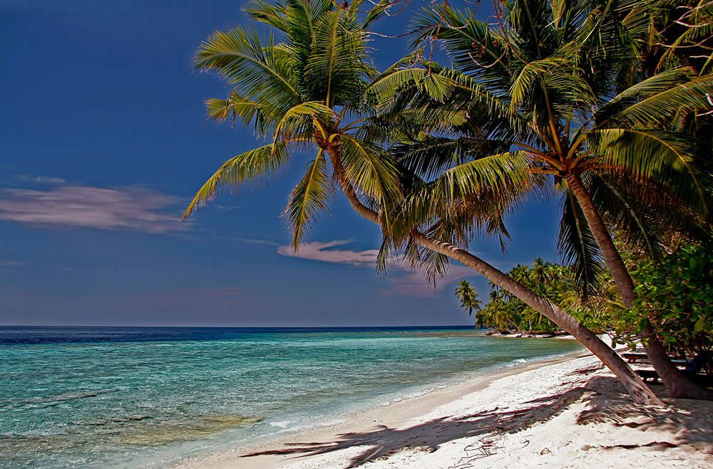 Das Riff Foto & Bild | asia, indian ocean, malediven Bilder auf ...