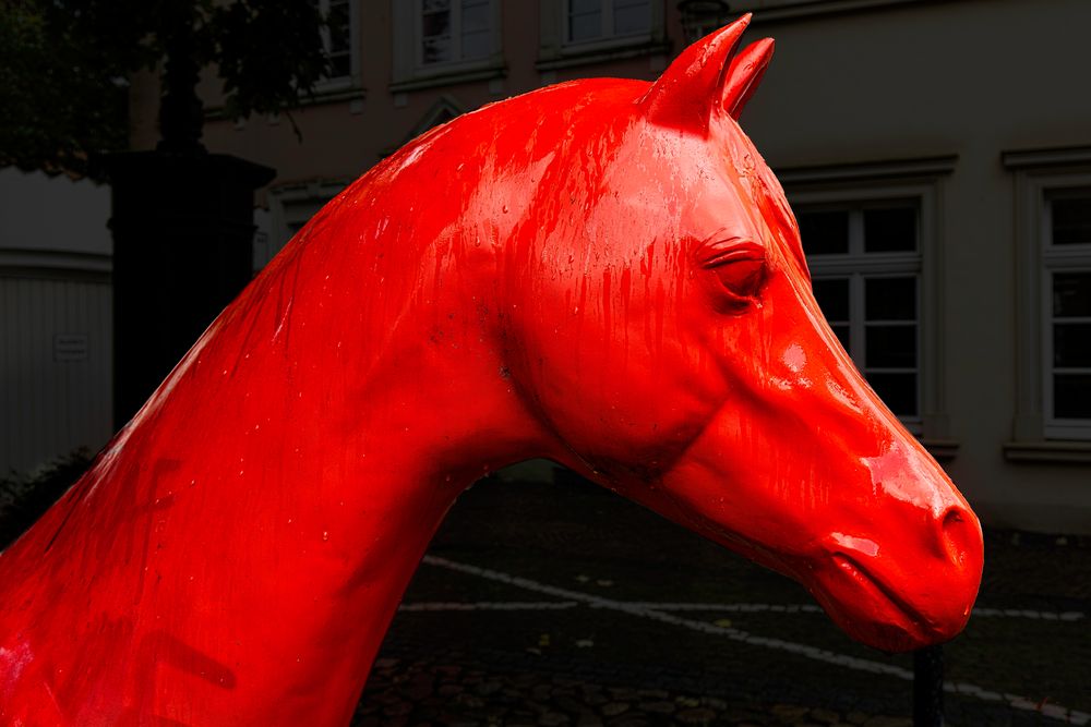 Das rote Pferd aus Warendorf..... Foto & Bild | deutschland, europe ...