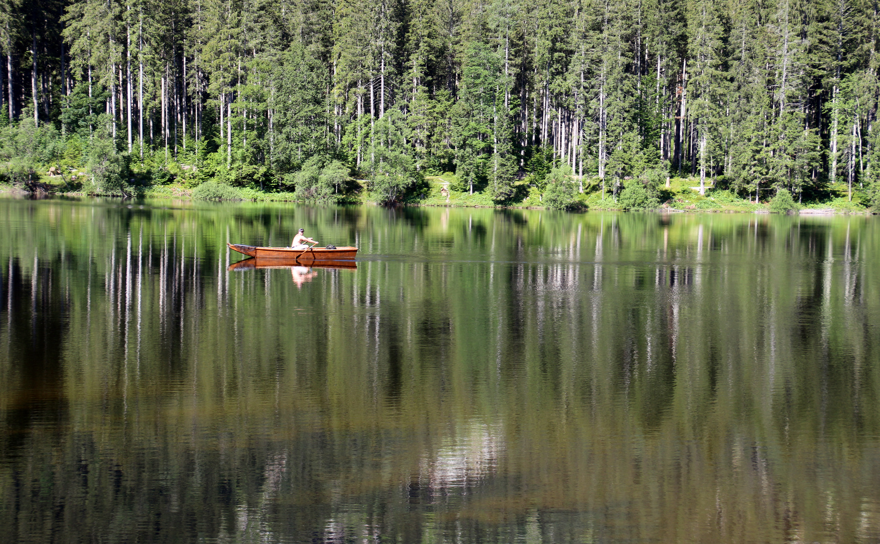 Das Ruderboot... Foto & Bild | wasser, natur, see Bilder auf fotocommunity