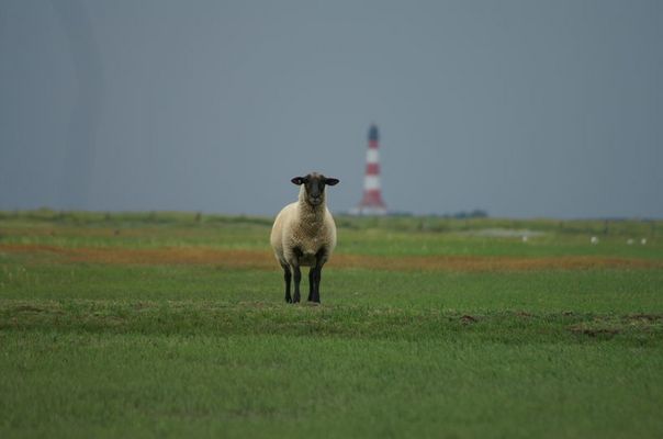 Horst Struve - Fotos & Bilder - Fotograf aus Bad Bramstedt, Deutschland ...