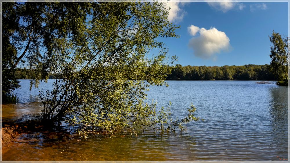 Das Schweigen der Stille Foto & Bild | sommer, natur, duisburg Bilder ...