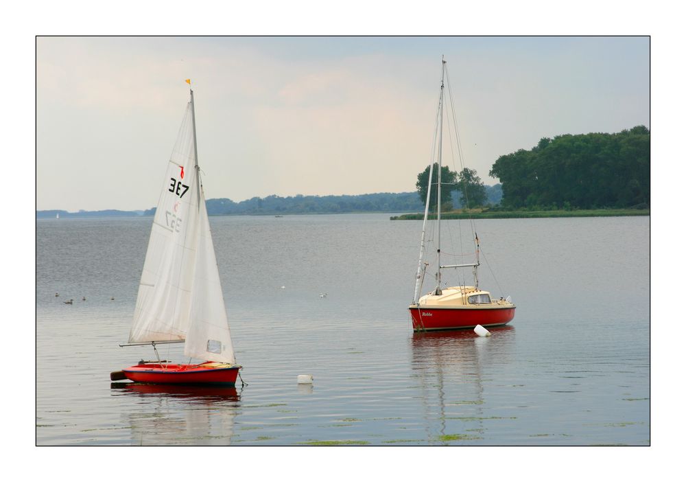 Das Segel Foto & Bild | landschaft, meer & strand, haff & bodden Bilder ...