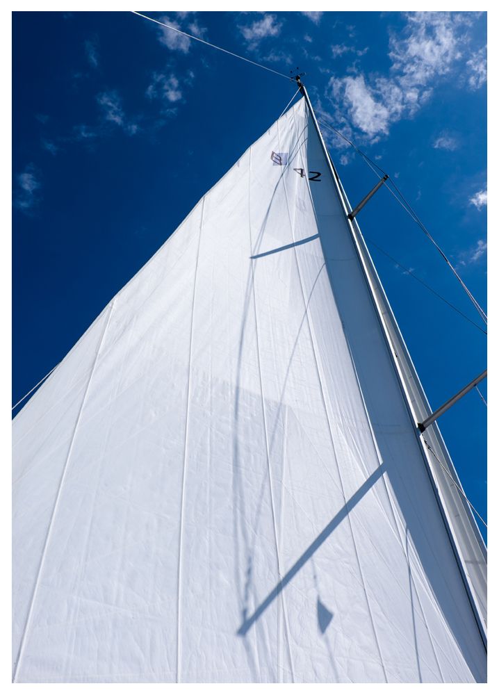 Das Segel Foto & Bild | sport, world, segeln Bilder auf fotocommunity