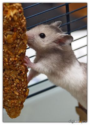 Berit Berger - Fotos & Bilder - Fotografin aus Dresden, Deutschland ...