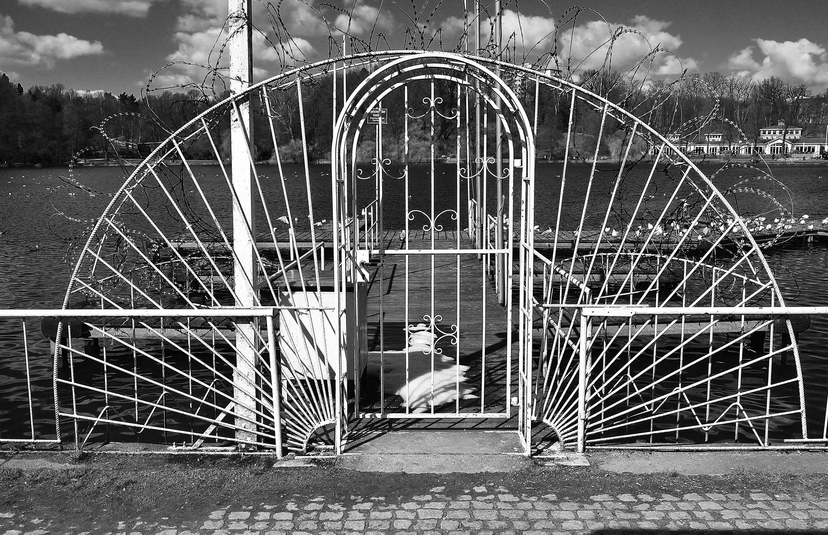 Das Tor Foto & Bild | landschaft, zäune, bänke, wegweiser & co., natur ...