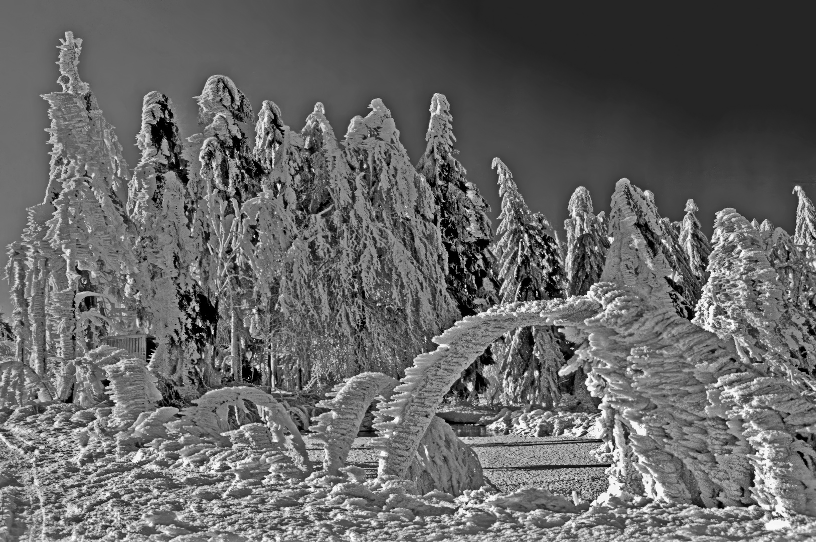 Das Tor zum Winter - Beim Grenzlandturm in Bärnau im Oberpfälzer Wald ...