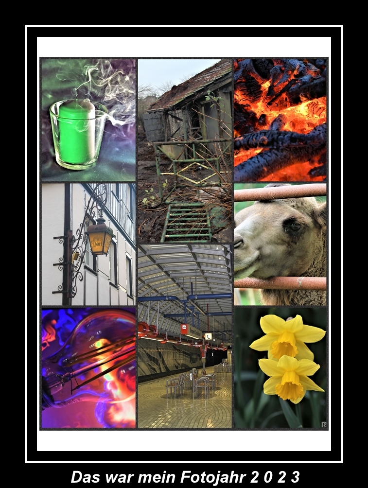 Das war mein Fotojahr 2023 Foto & Bild | jahresrückblick, collagen ...