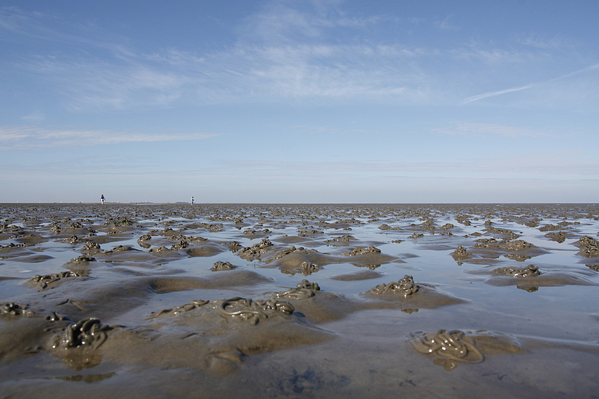 Das Watt Foto & Bild | landschaft, meer & strand, watt Bilder auf fotocommunity