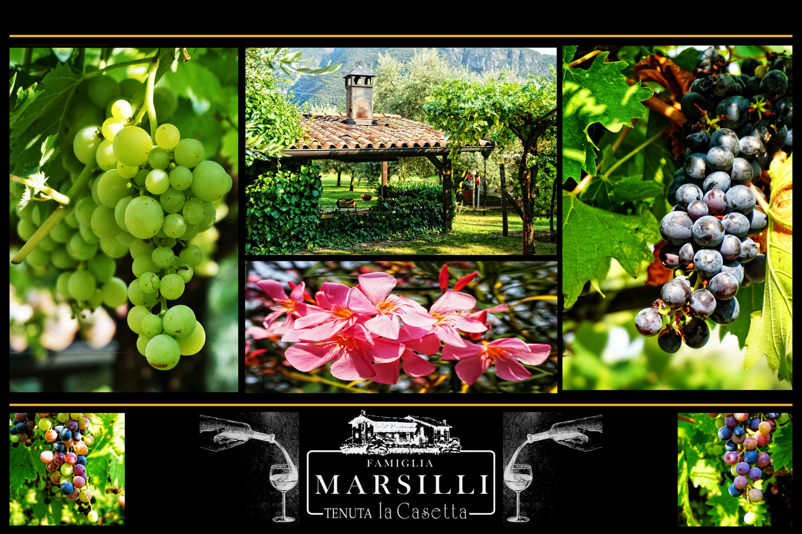 Das Weingut der Familie Marsilli in Brentino Belluno, in Italien Foto ...