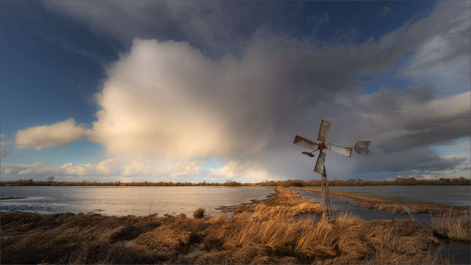 Das Windrad Foto & Bild | landschaft, moor, himmel Bilder auf fotocommunity