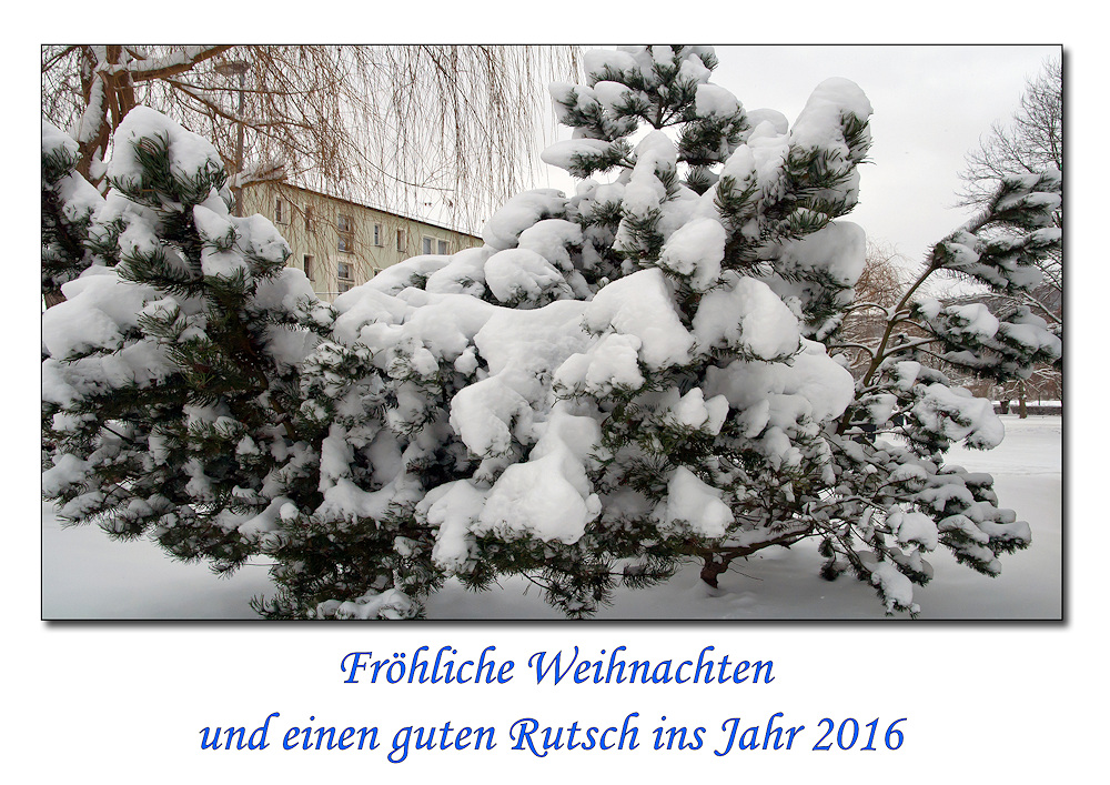 Das wünsche ich Euch von ganzem Herzen Foto & Bild | gratulation und ... Das wünsche ich Euch von ganzem Herzen Foto & Bild | gratulation und ...