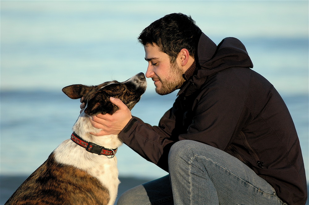 David & Kobi 3 Foto & Bild | tiere, tier und mensch, natur Bilder auf ...
