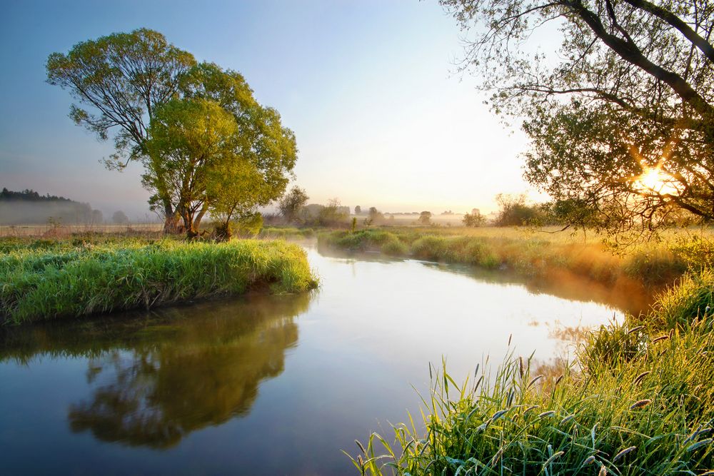 dawn in spring - Bild & Foto von Michael Christoph aus Landschaft ...