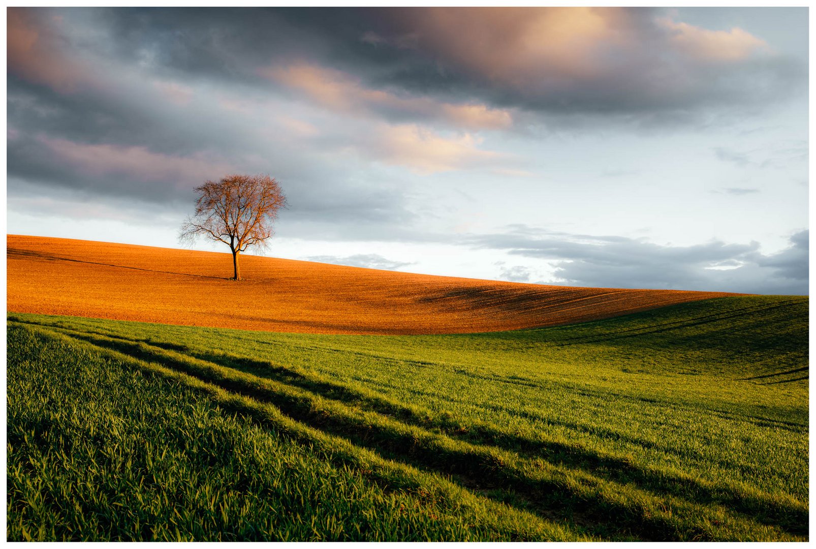 ~~ Day Fading ~~ Foto & Bild | sonnenuntergang, licht, schatten Bilder ...