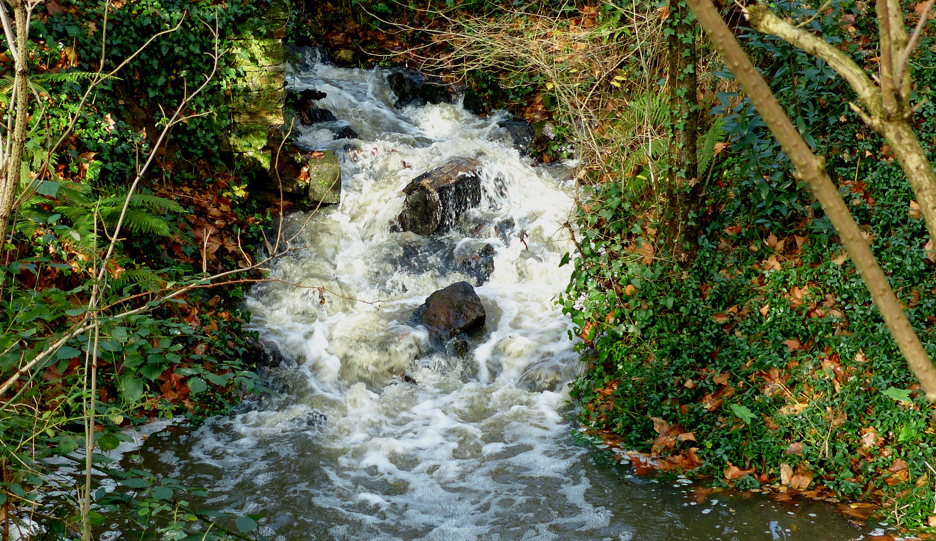 De l"eau courante... photo et image | paysages, lacs, rivières ...